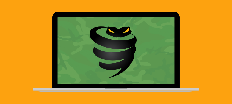Top 3 Reasons a VPN is Essential for Anyone in the Military | VyprVPN